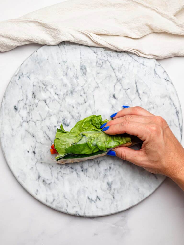 Easy Sweet Chilli Chicken Rice Paper Rolls (with photos & video)